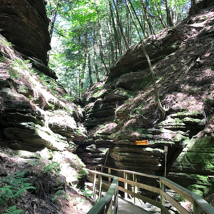 Welcome to the Whirlpool Chambers, nature's own spin cycle. Hold onto your hats, folks &ndash; it's going to be a swirly ride!