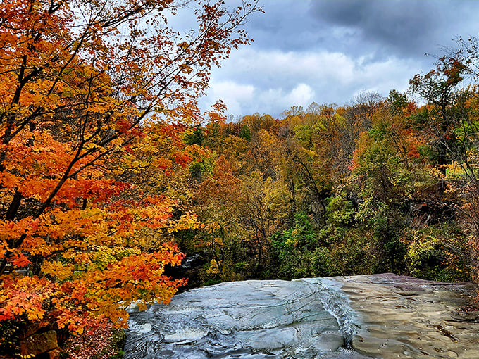 Fall's fashion show is in full swing! Mother Nature pulls out all the stops, dressing the trees in their autumn best.