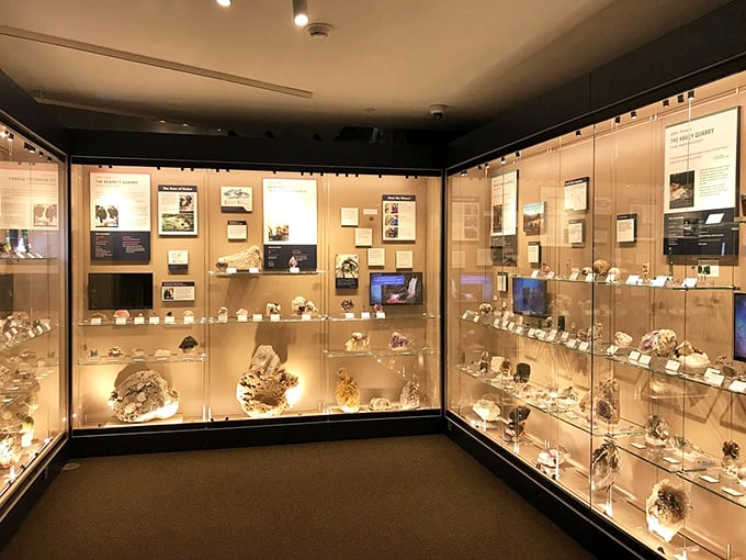 The Apollo exhibit: where moon dreams and earthly wonders collide. Houston, we have a fascinating display!