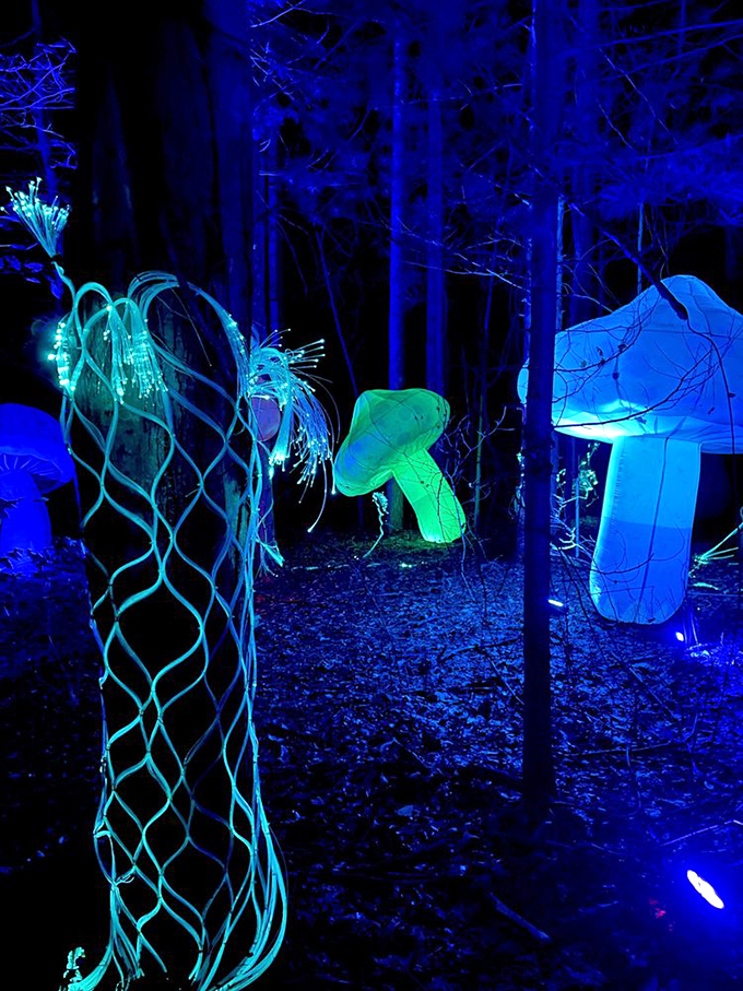 Alice's magic mushrooms come to life! These glowing fungi look like they're about to break into a choreographed dance number.