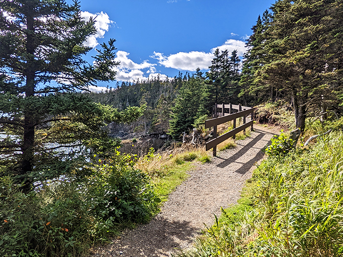Stairway to heaven? Nope, just the path to some seriously jaw-dropping views. Watch your step and your camera battery!