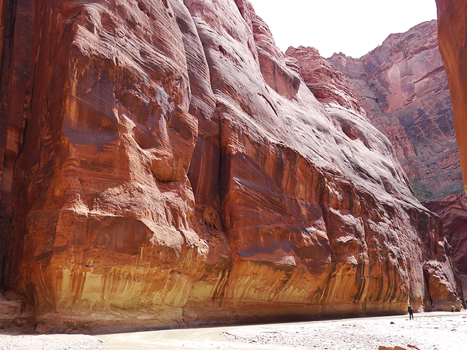 Indiana Jones, eat your heart out! Paria Canyon's towering walls make you feel like you're on an adventure of cinematic proportions. No snakes required.