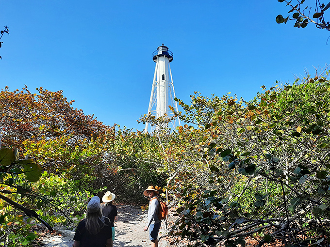 Nature's red carpet! This trail through lush greenery leads to the star of the show &ndash; our beloved lighthouse.