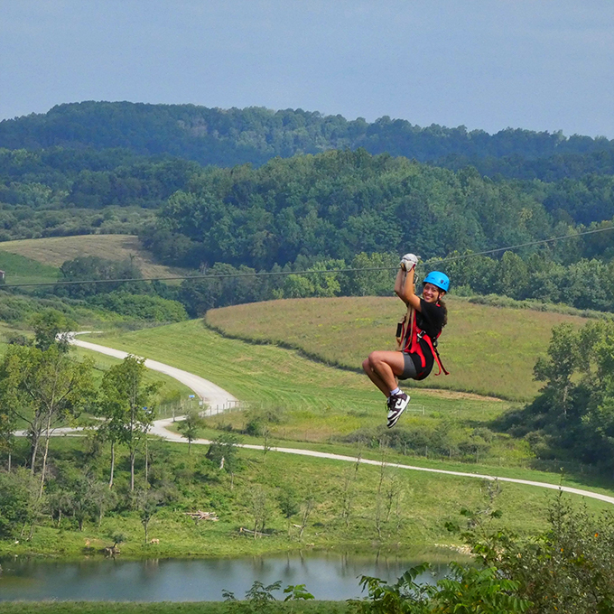 "Zip-a-dee-doo-dah! Soaring over savannas in Ohio &ndash; because why should African tourists have all the fun?"