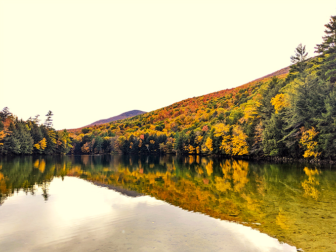 Fall in Vermont: where Mother Nature busts out her entire color palette and goes to town. Eat your heart out, Crayola!