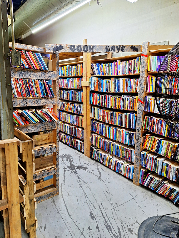 Enter the Book Cave: where literary stalactites drip with knowledge and adventure lurks around every corner.