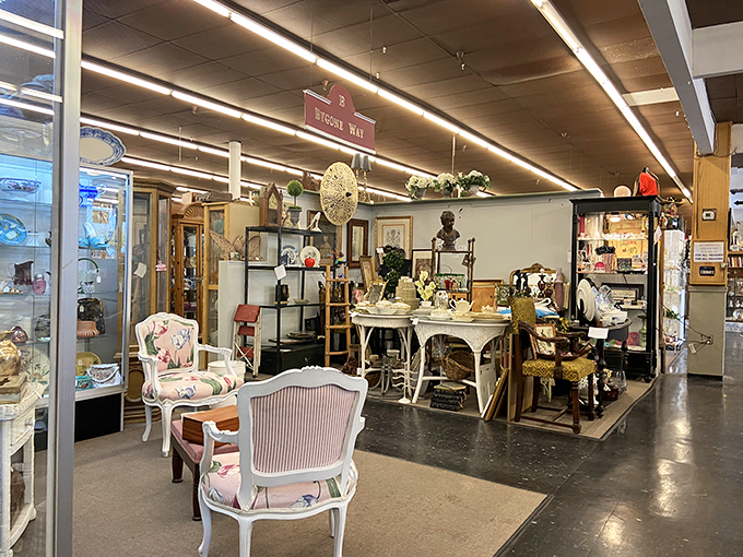 Take a seat in the past! This furniture collection is so fancy, you'll feel like royalty – or at least like you're in a really posh time machine.