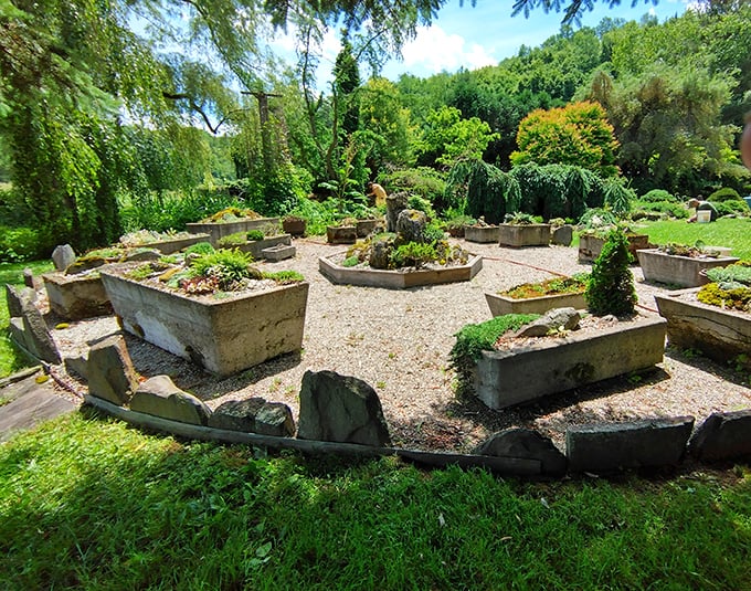 A garden so lush, it'll make you green with envy. These plants are living their best lives &ndash; talk about #gardengoals!