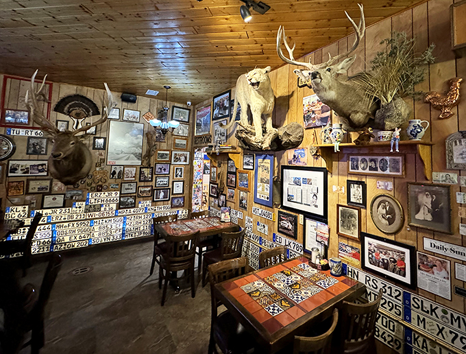 Welcome to the wall of fame, where every photo tells a story. It's like a history lesson, but with better lighting and no pop quiz.