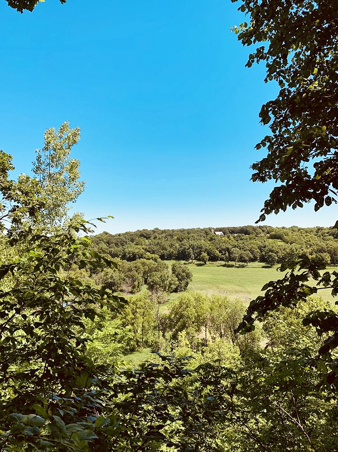 Talk about a room with a view! This overlook offers a panorama that beats any big-screen TV. Nature's own IMAX experience.