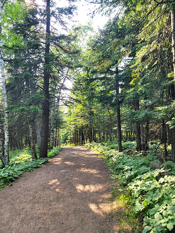 Woodland wanderlust: This trail through Split Rock's forest is like stepping into a fairytale. Keep an eye out for singing woodland creatures!