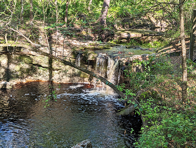 Who needs Niagara when you've got these mini-cascades? It's like nature's own water feature catalog come to life!