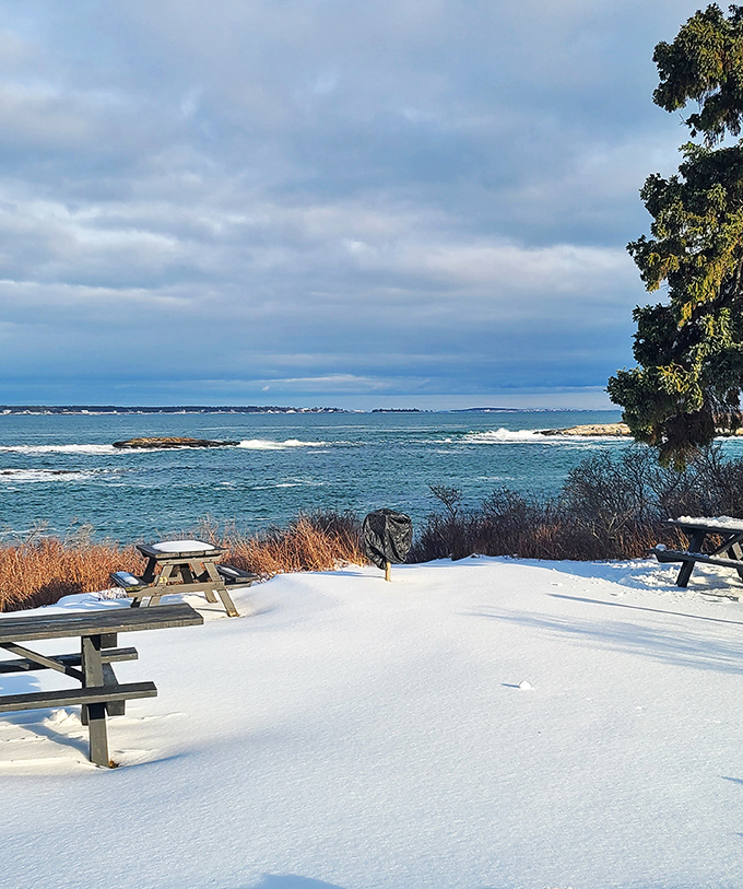 Winter wonderland meets ocean blue – it's like Maine's version of 'Frozen,' minus the talking snowman and with 100% more lobster potential.
