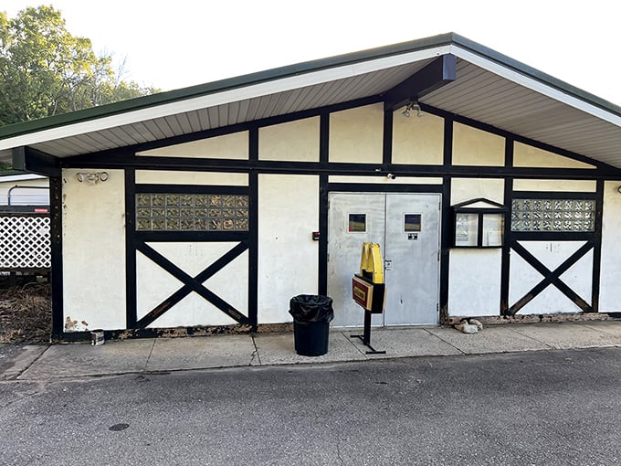 Pinball wizards, rejoice! The Ann Arbor Pinball Museum is your ticket to a flipper-fantastic journey through gaming history.