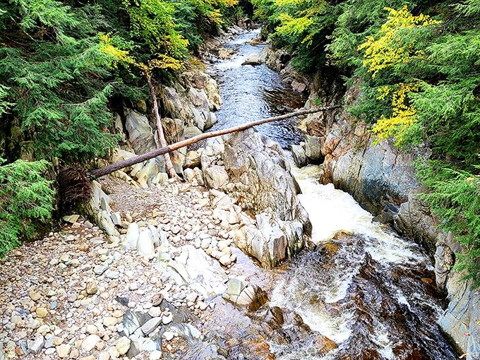 Part natural wonder, part thrill ride. This gorge and suspension bridge combo will test your mettle.