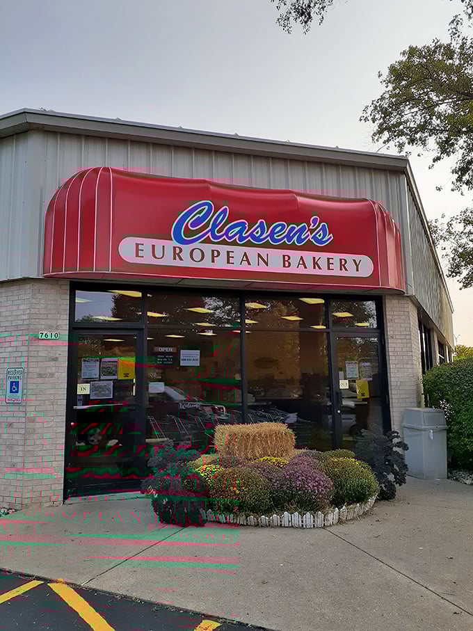 United Nations of Pastries! Where else can you tour Europe with just your taste buds?