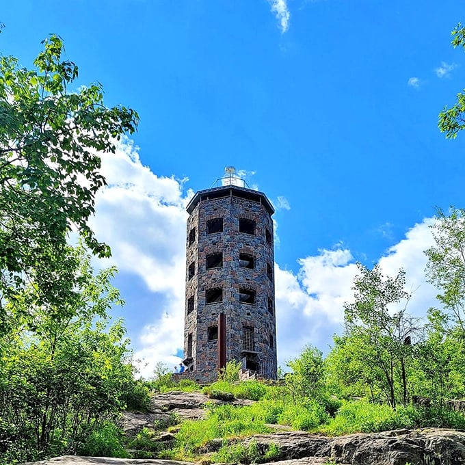 The ultimate road trip vista point! This stone sentinel offers panoramic views worth the detour.