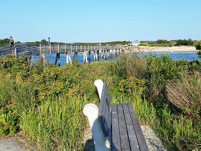 Stretch those driving legs in style! This scenic footbridge offers a refreshing break with million-dollar ocean views.