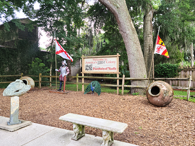Quench your thirst for adventure! The Fountain of Youth is the ultimate hydration station for history buffs.