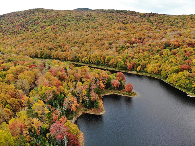 Fall colors so vibrant, you'll swear your windshield has an Instagram filter. 