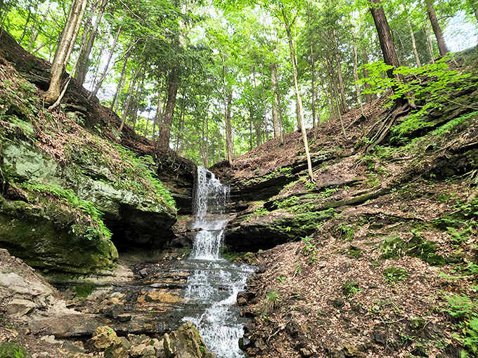 Road trip secret: Horseshoe Falls is the VIP waterfall experience you didn't know you needed!