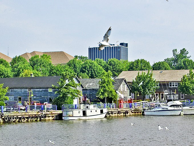 Kohler: Where "powder room" is a lifestyle, not just a euphemism. Luxury meets small-town charm in this plumbing paradise.