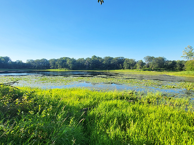 Lake Maria's woodland trail: Where every step feels like you're starring in your own fairy tale. Just watch out for talking animals.