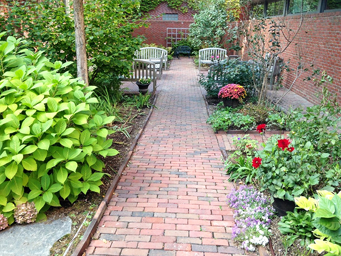 Poetic paradise in pocket size! This little garden speaks volumes about natural beauty.