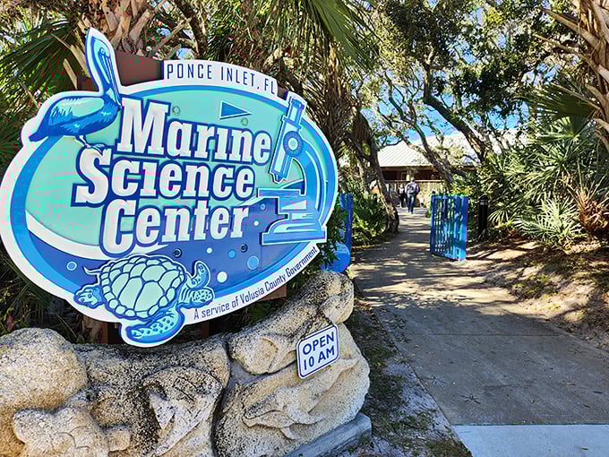 Marine science meets hands-on fun. It's like 'Finding Nemo' came to life!
