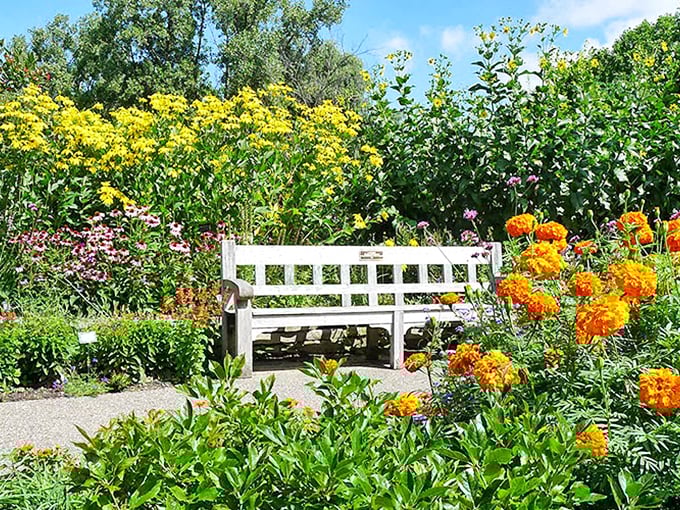 Matthaei's floral rainbow. This tulip parade is so vibrant, it makes Dorothy's yellow brick road look positively monochrome.