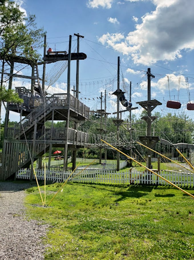 Swing into action! Monkey C Monkey Do's aerial playground is like Tarzan's jungle gym on steroids.