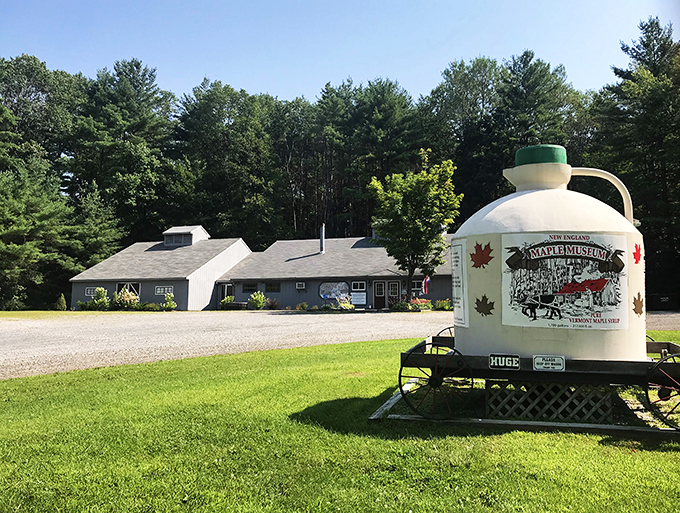 Sweet dreams are made of this! The New England Maple Museum is a sticky celebration of Vermont's liquid gold.
