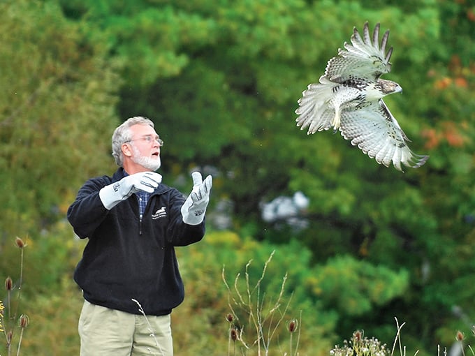 "Bird in hand beats two in the bush! Ohio Wildlife Center's raptor handler is giving serious wizard vibes. Hogwarts, eat your heart out!"