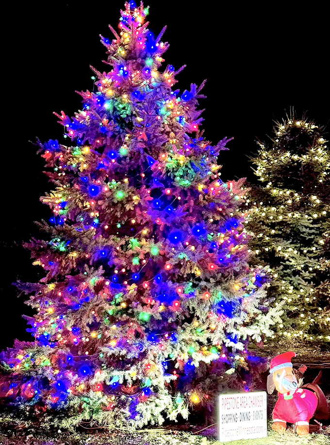 Roll through Pipestone and soak in the joy of small-town holiday spirit at its quirkiest.