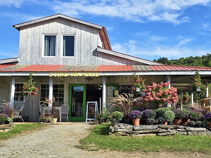 Hidden gem alert! This off-the-beaten-path orchard is the secret ingredient to a perfect road trip.