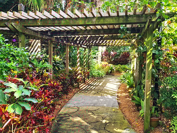Sunken Gardens: "Jurassic Park's zen cousin? This lush oasis feels like a tropical time capsule, minus the velociraptors.