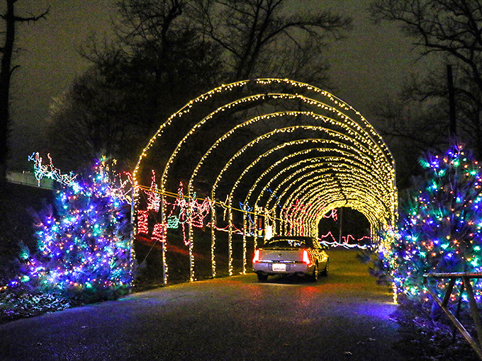 Park the car and follow the lights &ndash; Alton's holiday trails are best explored on foot.