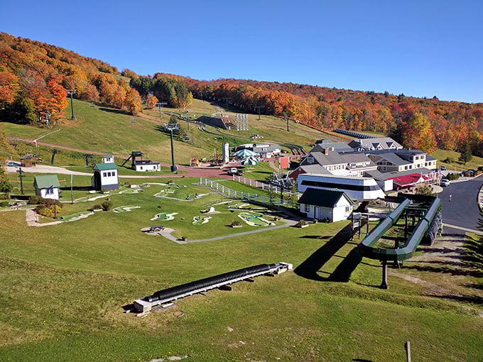 Shift gears from road trip to sky trip! This mountain park turns your journey into a vertical adventure.