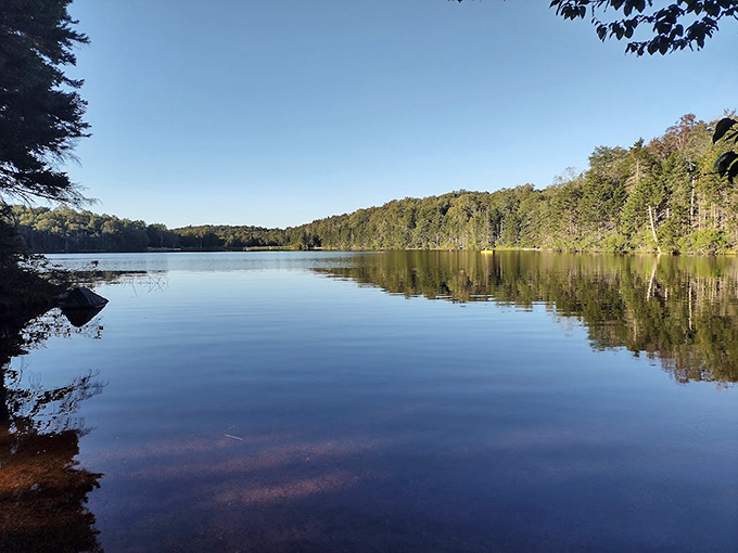 Green Mountain National Forest: Where every turn reveals a postcard-worthy vista.