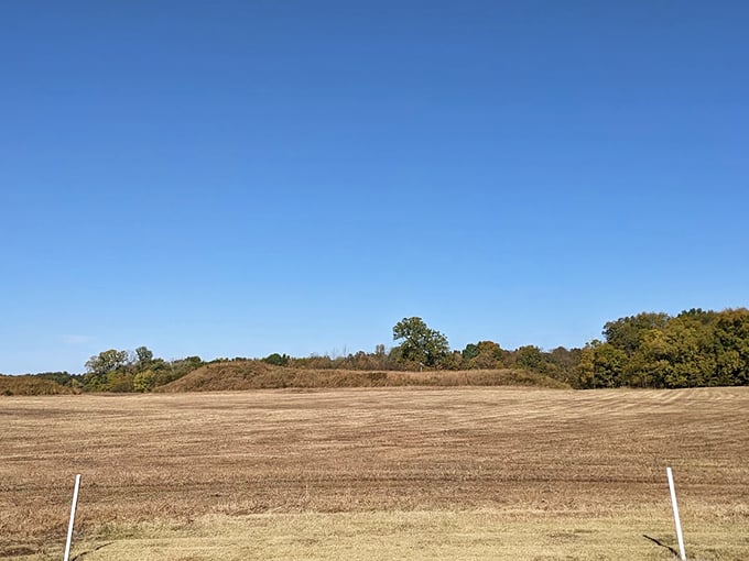 Road trip through time: Park your car and hike into a world older than the wheel at Kincaid Mounds.