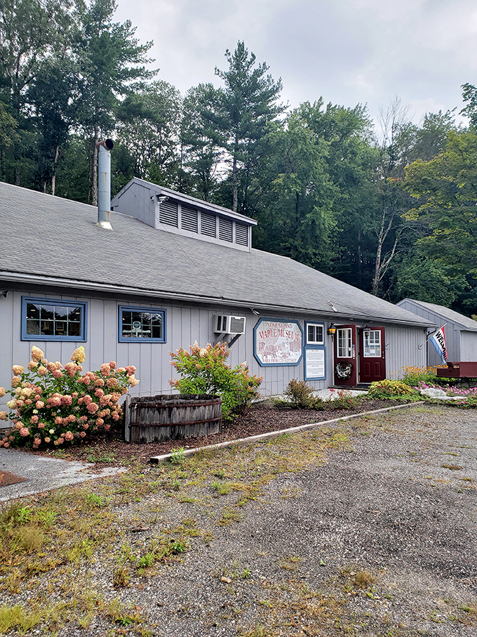 Syrup lovers, unite! This quaint museum traces the sweet history of maple sugaring from ancient techniques to modern marvels.