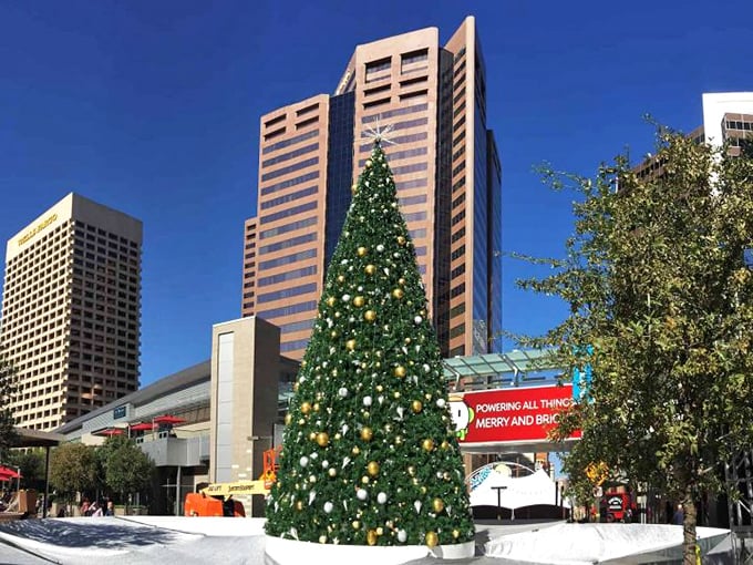 ZooLights: It's like Noah's Ark got a Christmas makeover, and all the animals are invited to the party.