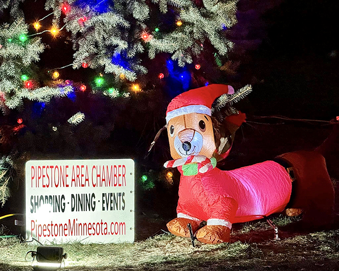 A quick drive through Pipestone turns into a cheerful holiday surprise&mdash;expect lights, fun, and plenty of smiles.