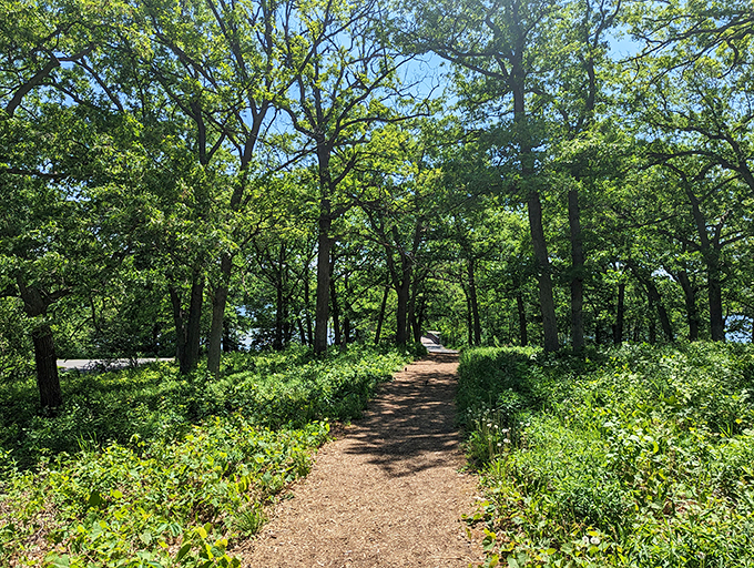 Canvas and canoes collide! This unique park blends creativity with the great outdoors.