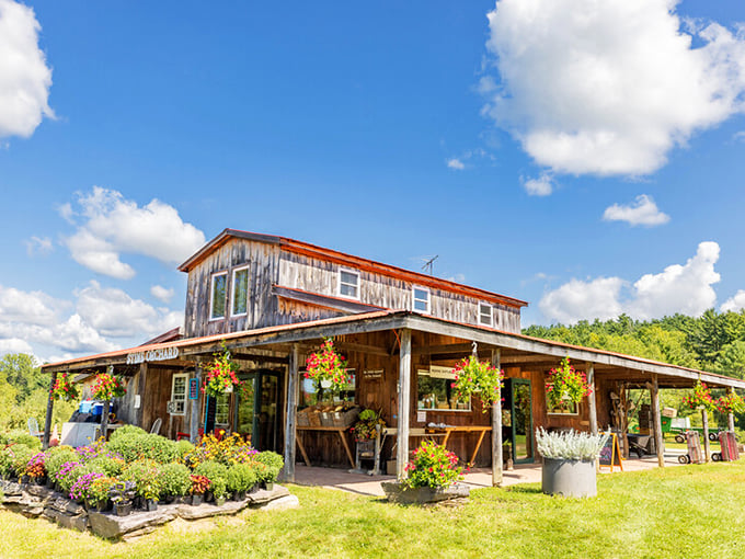 Slow down and savor the simple life. Stine's is the antidote to highway fatigue.