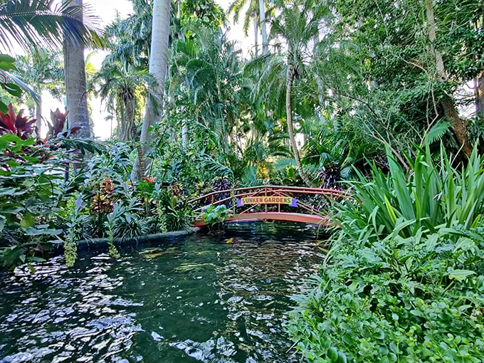 Waterfall wonderland! This cascading beauty proves that sometimes, the best things in Florida are below sea level.