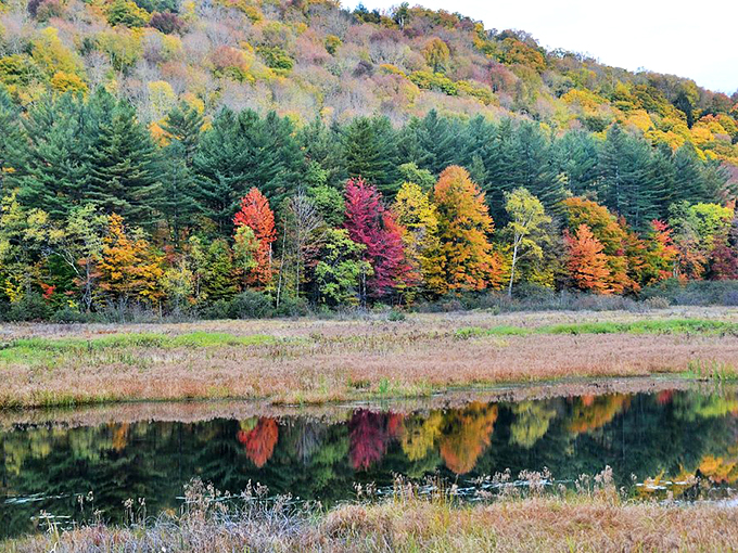 Easy access, maximum wow factor. Thundering Brook Falls is like the drive-thru of waterfalls &ndash; convenience with a side of beauty.