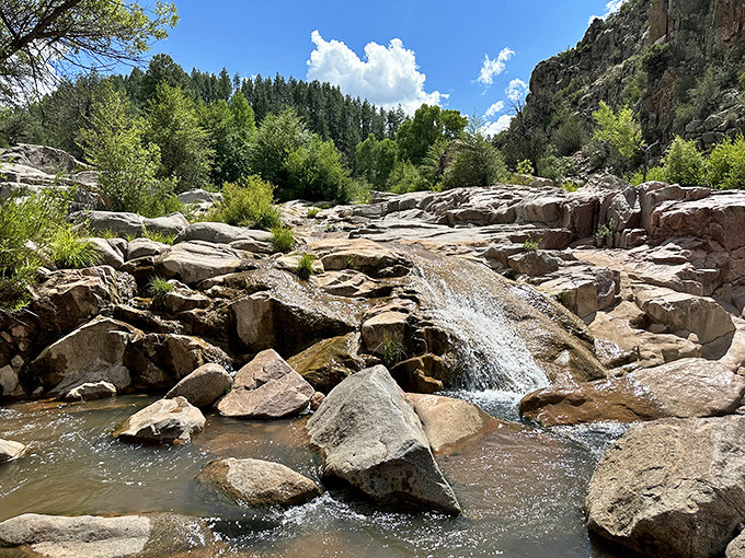 Cascading wonder in the pines. It's like stumbling into a fairy tale, minus the talking animals.
