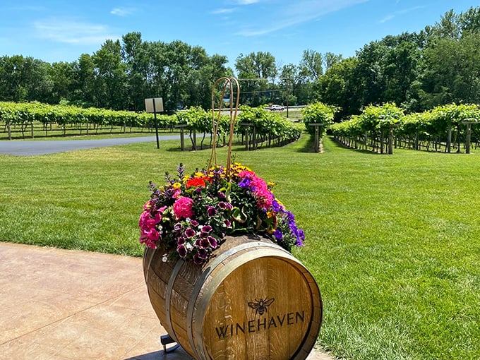 Is it a mirage? Nope, just Winehaven serving up award-winning wines with a side of stunning lake views.