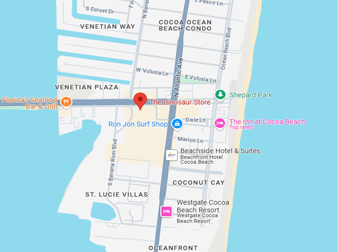 16. The Dinosaur Store map